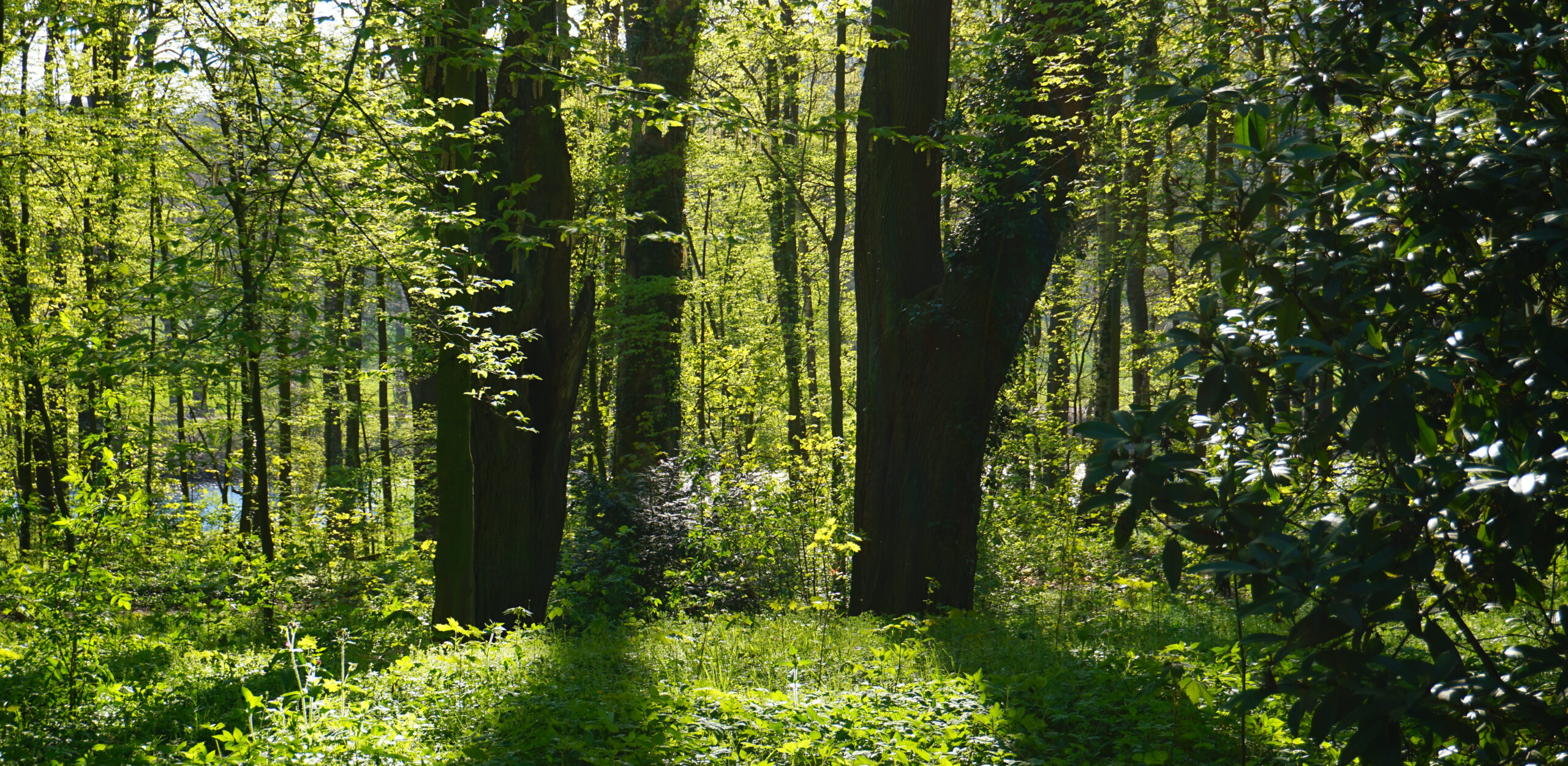 Wachsen lassen - Raum geben
